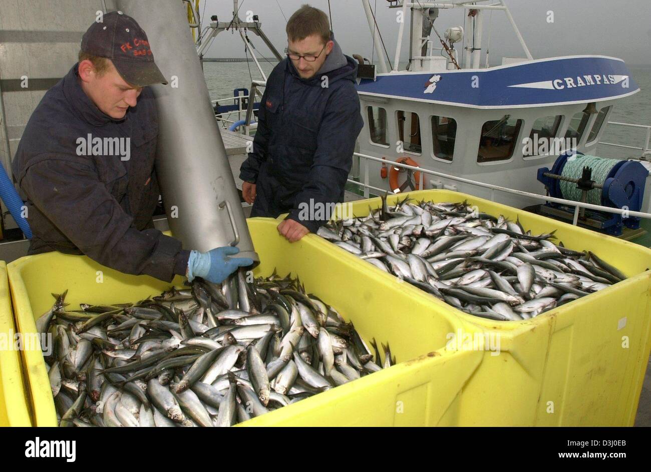 Van yellow fish hi-res stock photography and images - Alamy