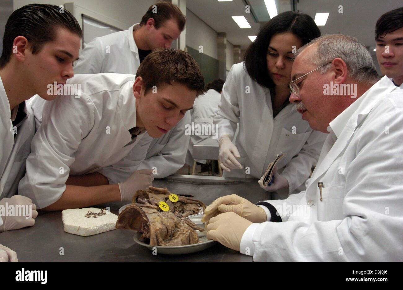 Dissecting students hi-res stock photography and images - Alamy