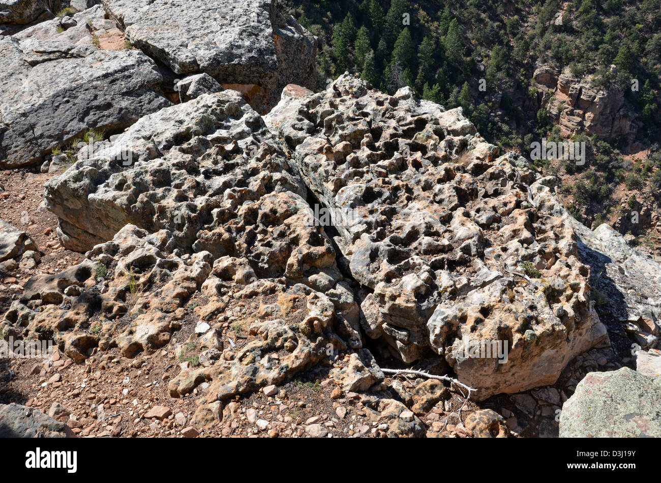 The Kaibab Formation in Grand Canyon National Park is composed of ...