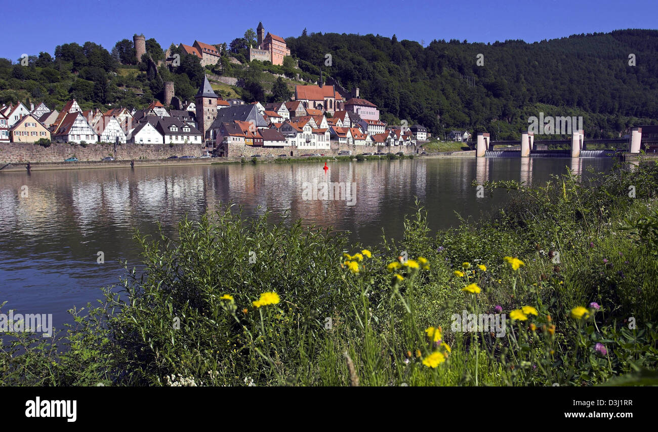 (dpa) - The picture, dated 20 June 2005, shows Hessian village ...