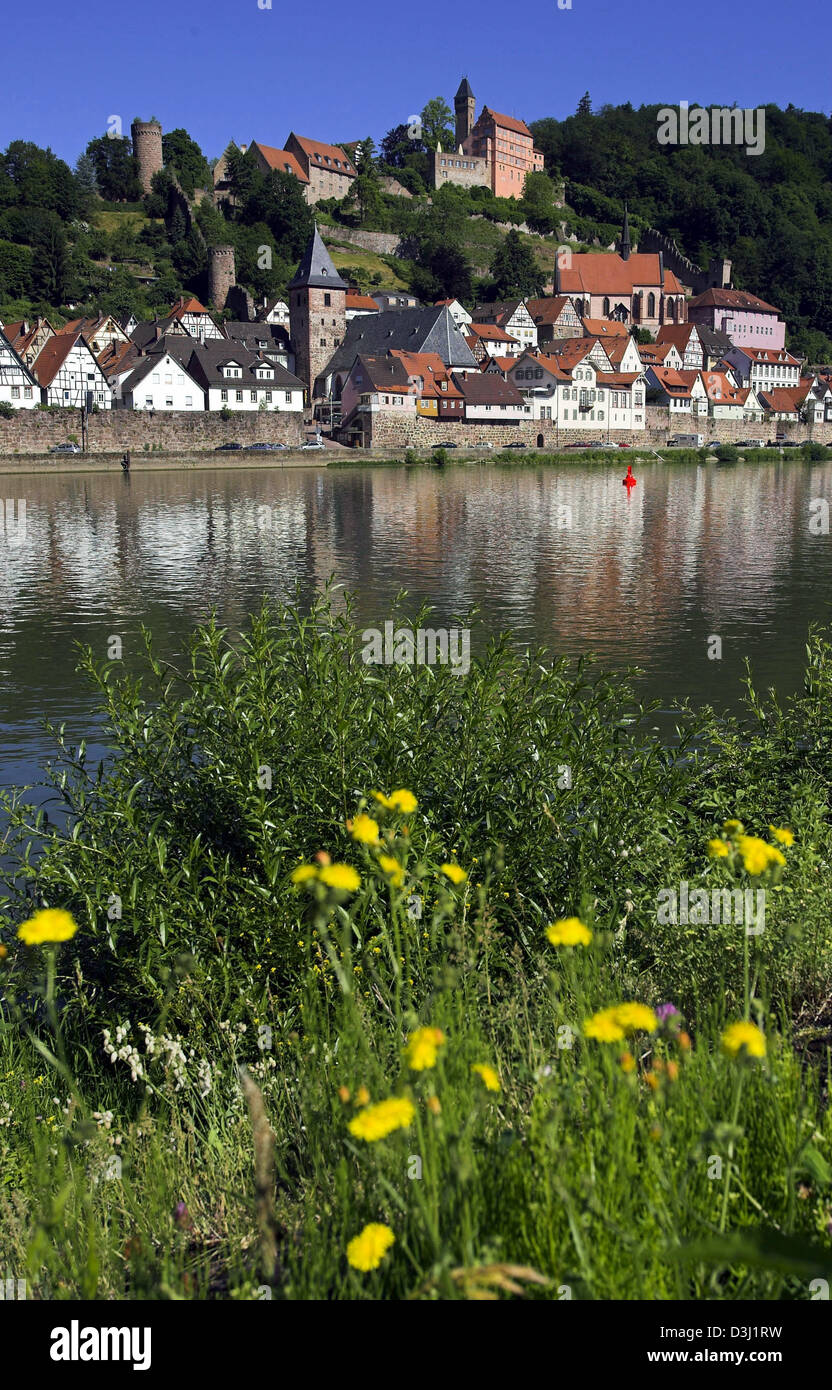 (dpa) - The picture, dated 20 June 2005, shows Hessian village ...