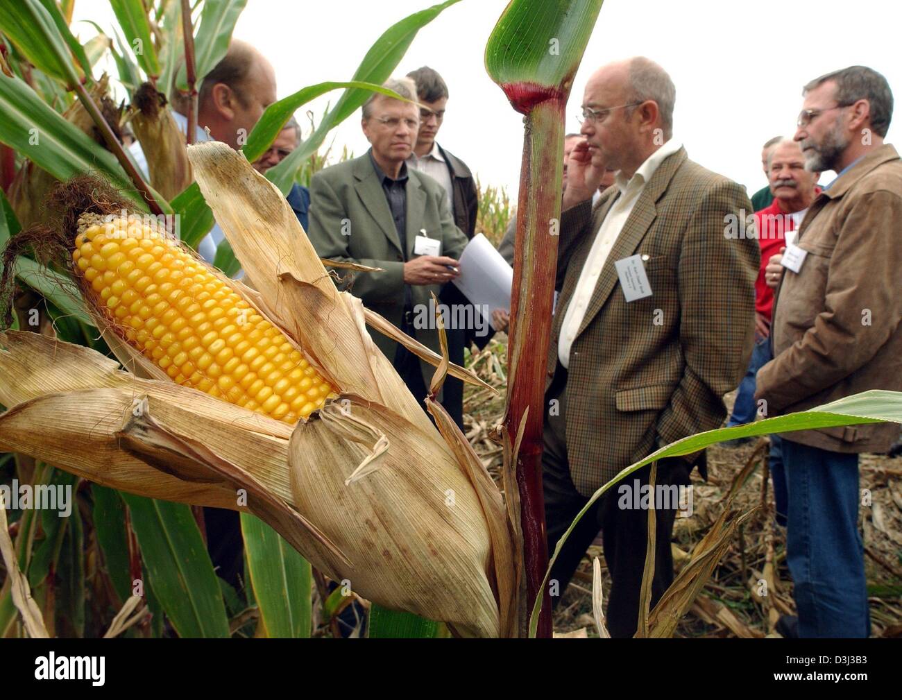 (dpa) - Employees of the company Monsanto Agrar Deutschland stand ...