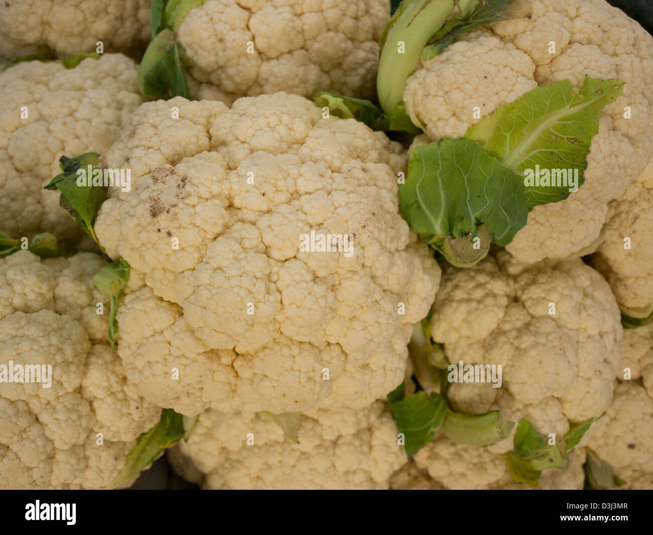 Close up of white cauliflower Stock Photo - Alamy