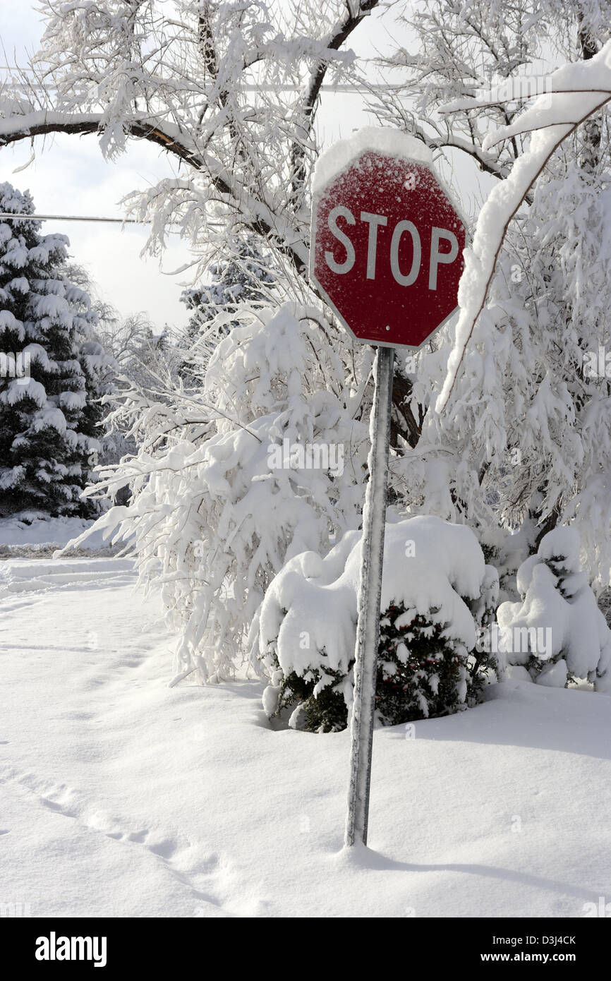Stop sign city hi-res stock photography and images - Alamy