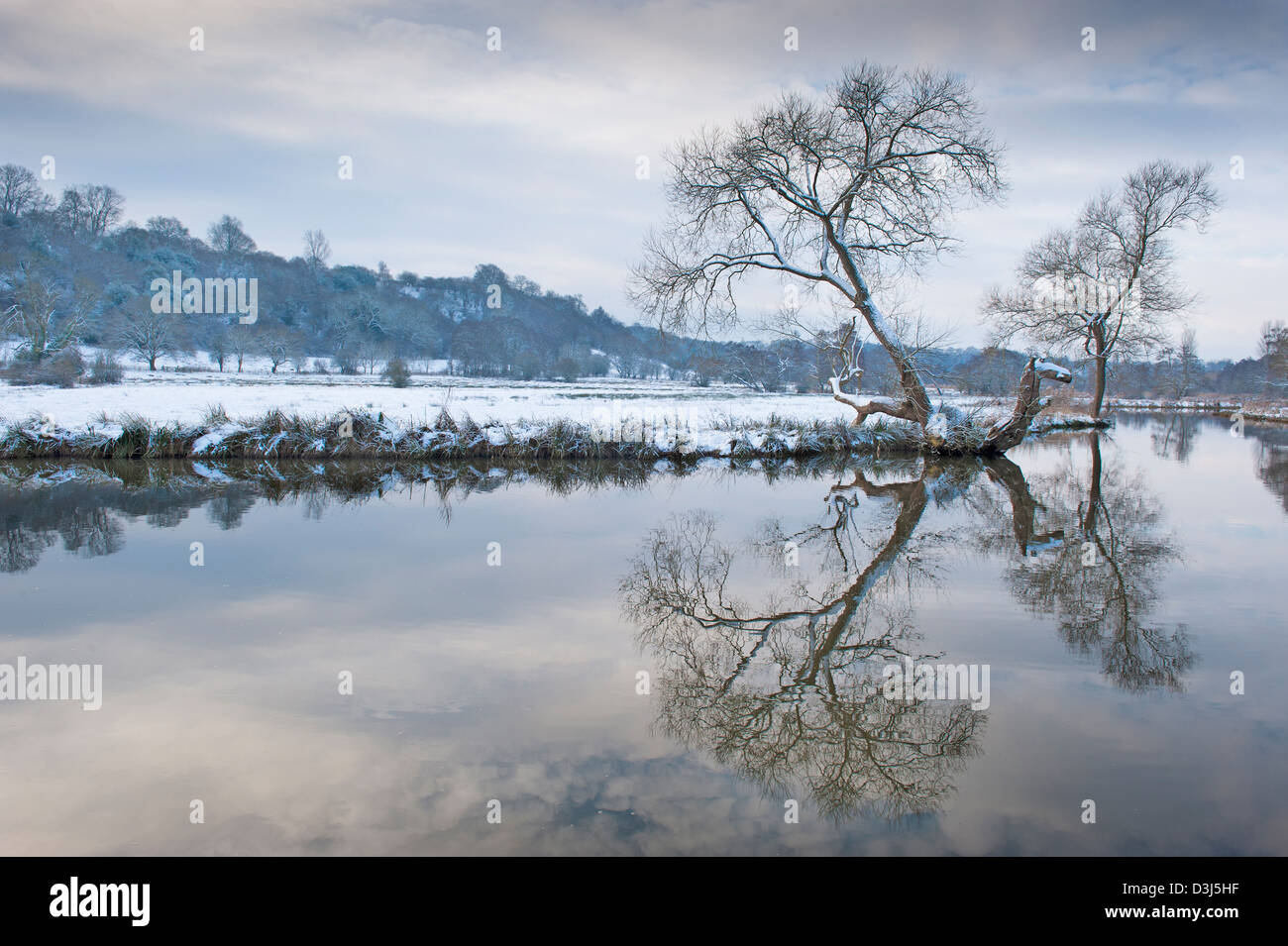 River Wey, Godalming, Surrey Stock Photo - Alamy