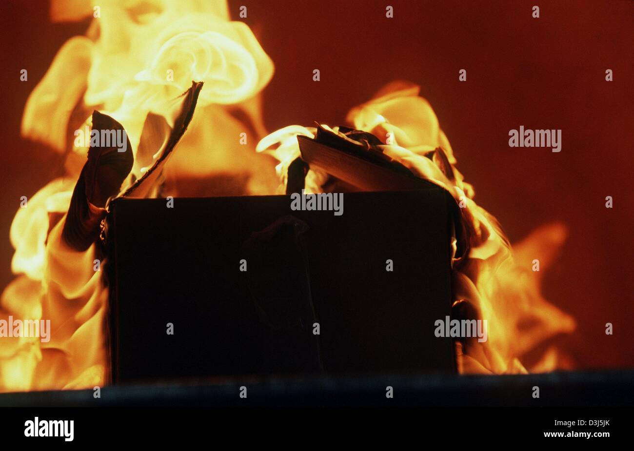 Human interest hum animals fire death coffin burn urn flames germany hi ...