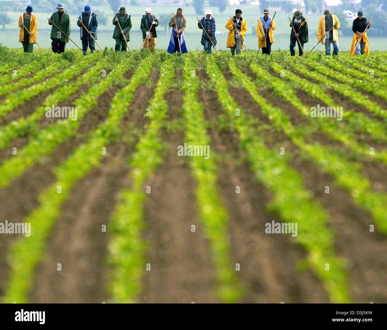 Hoes farm hi-res stock photography and images - Alamy
