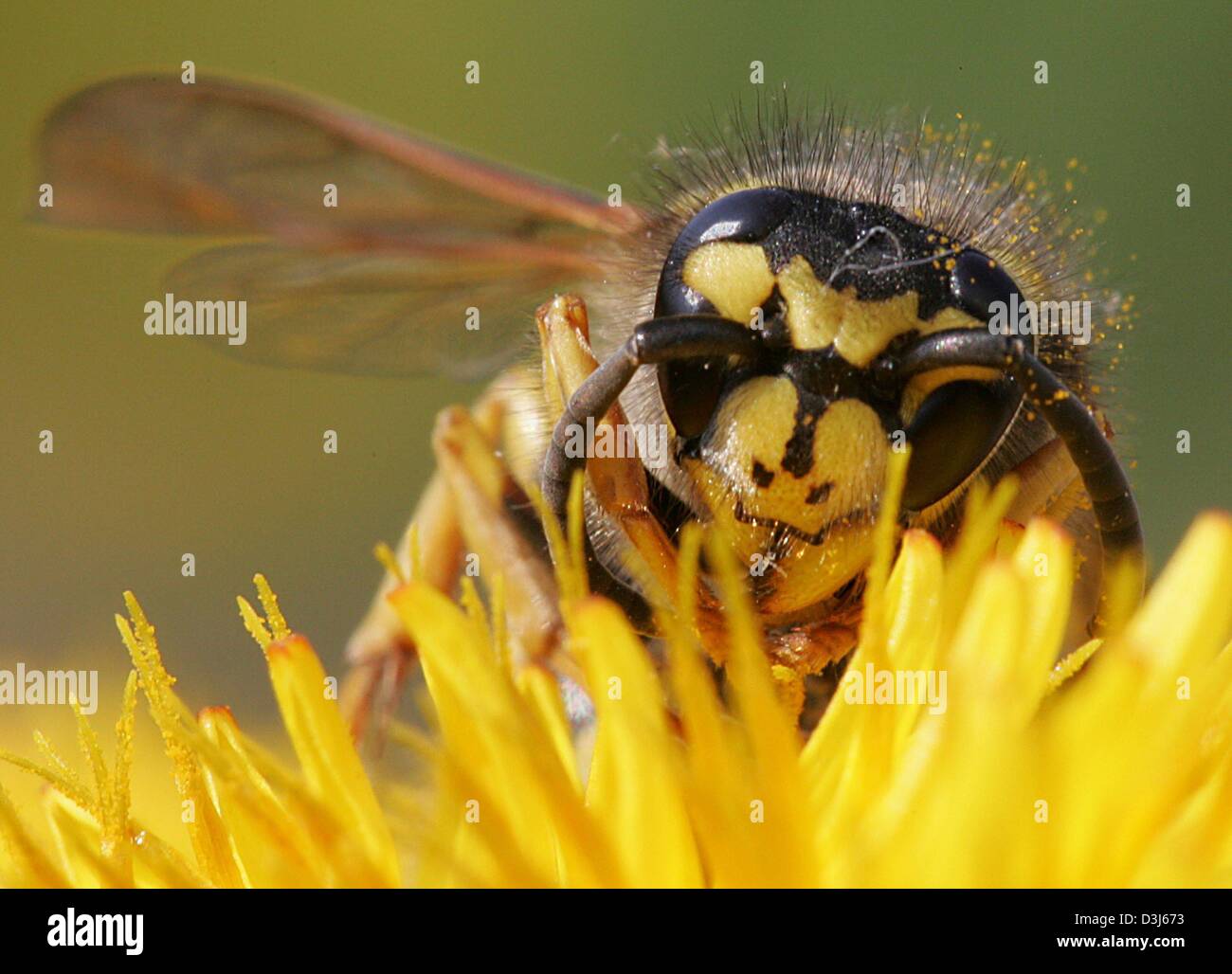 27 april 2004 hi-res stock photography and images - Alamy