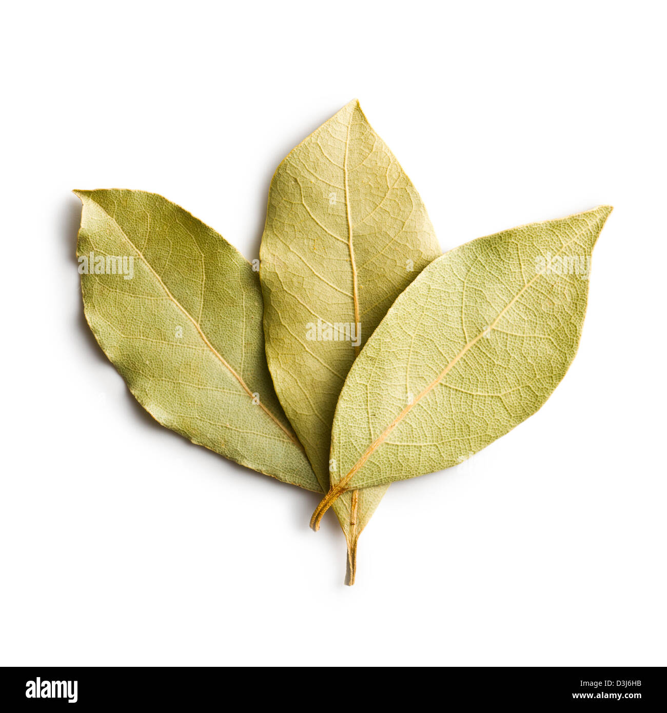 bay leaves on white background Stock Photo - Alamy