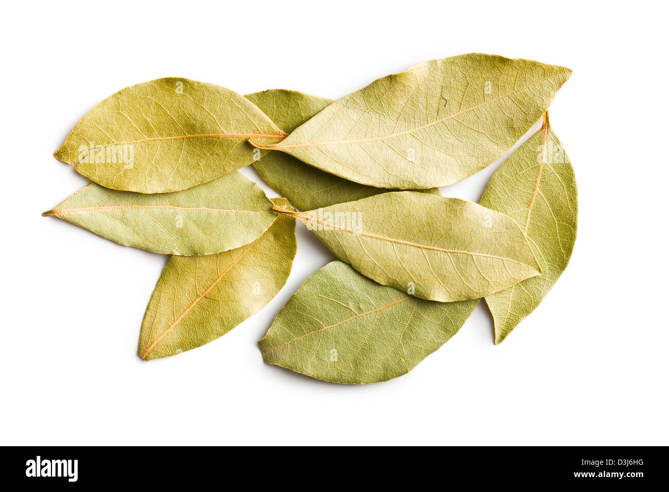 bay leaves on white background Stock Photo - Alamy