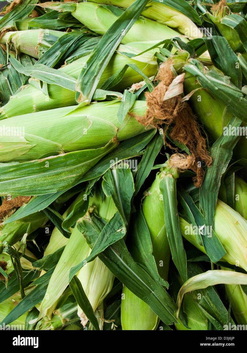 Fresh organic food at the local farmers market. Farmers markets are a ...
