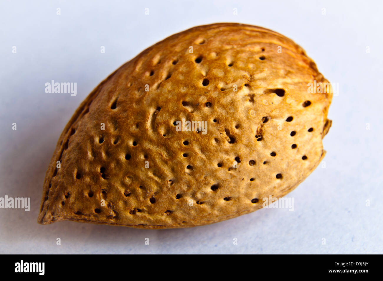 Almond nut in shell Stock Photo - Alamy