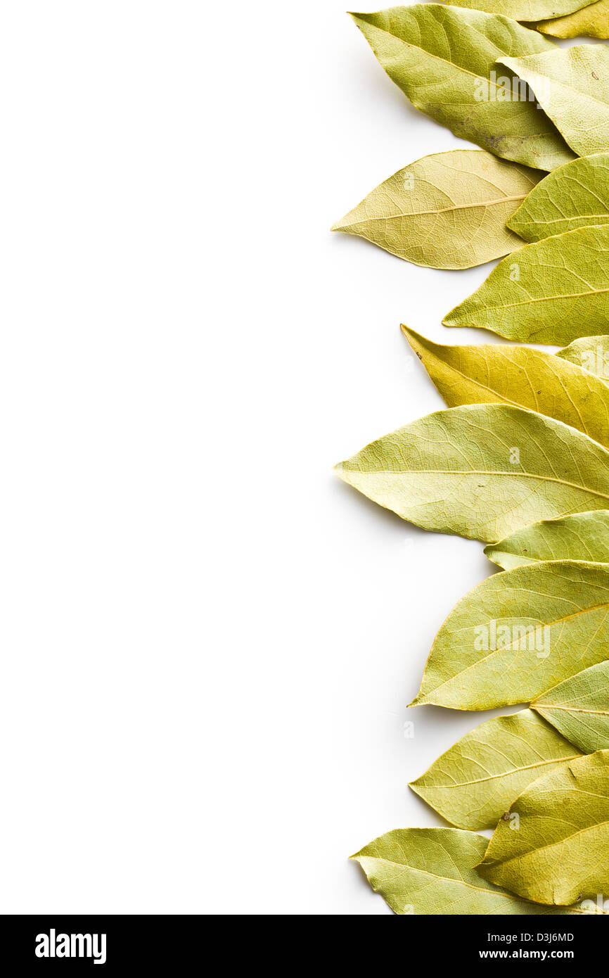 bay leaves on white background Stock Photo - Alamy