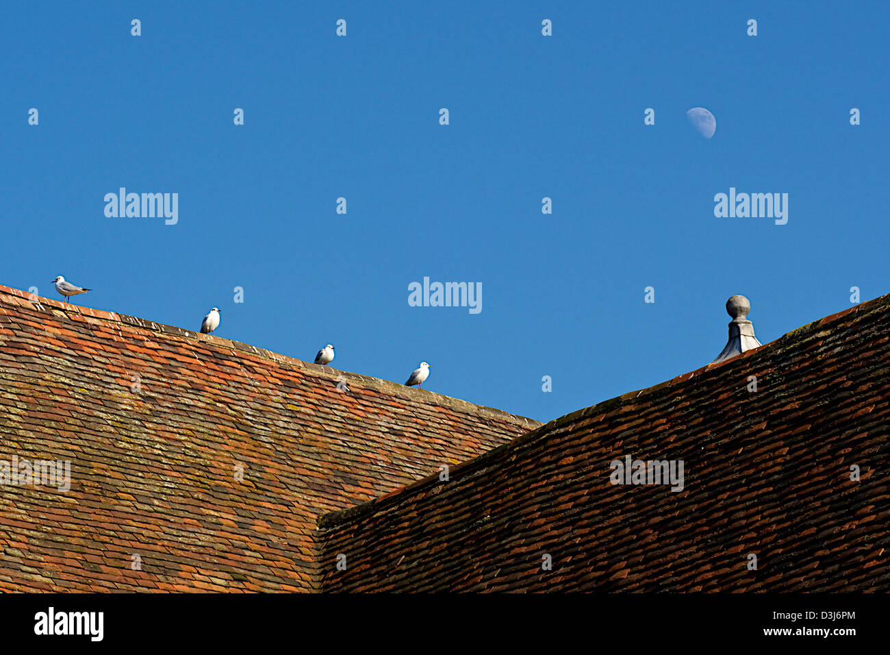 Kent peg roof hi-res stock photography and images - Alamy