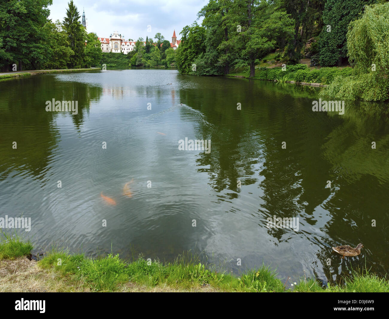 Pruhonice Castle park summer view and big golden fish in lake. Prague ...