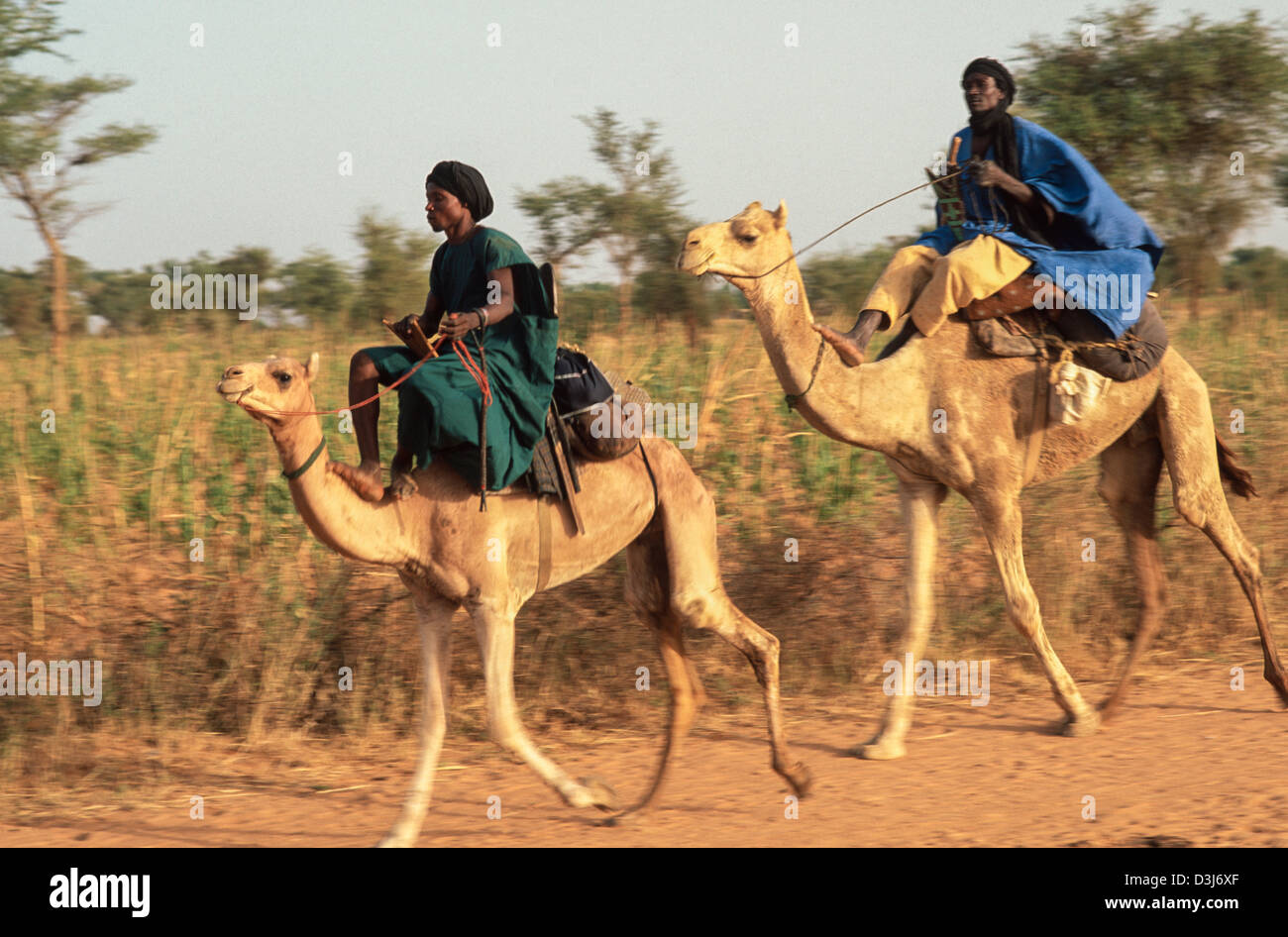Tuaregs riding camel hi-res stock photography and images - Alamy