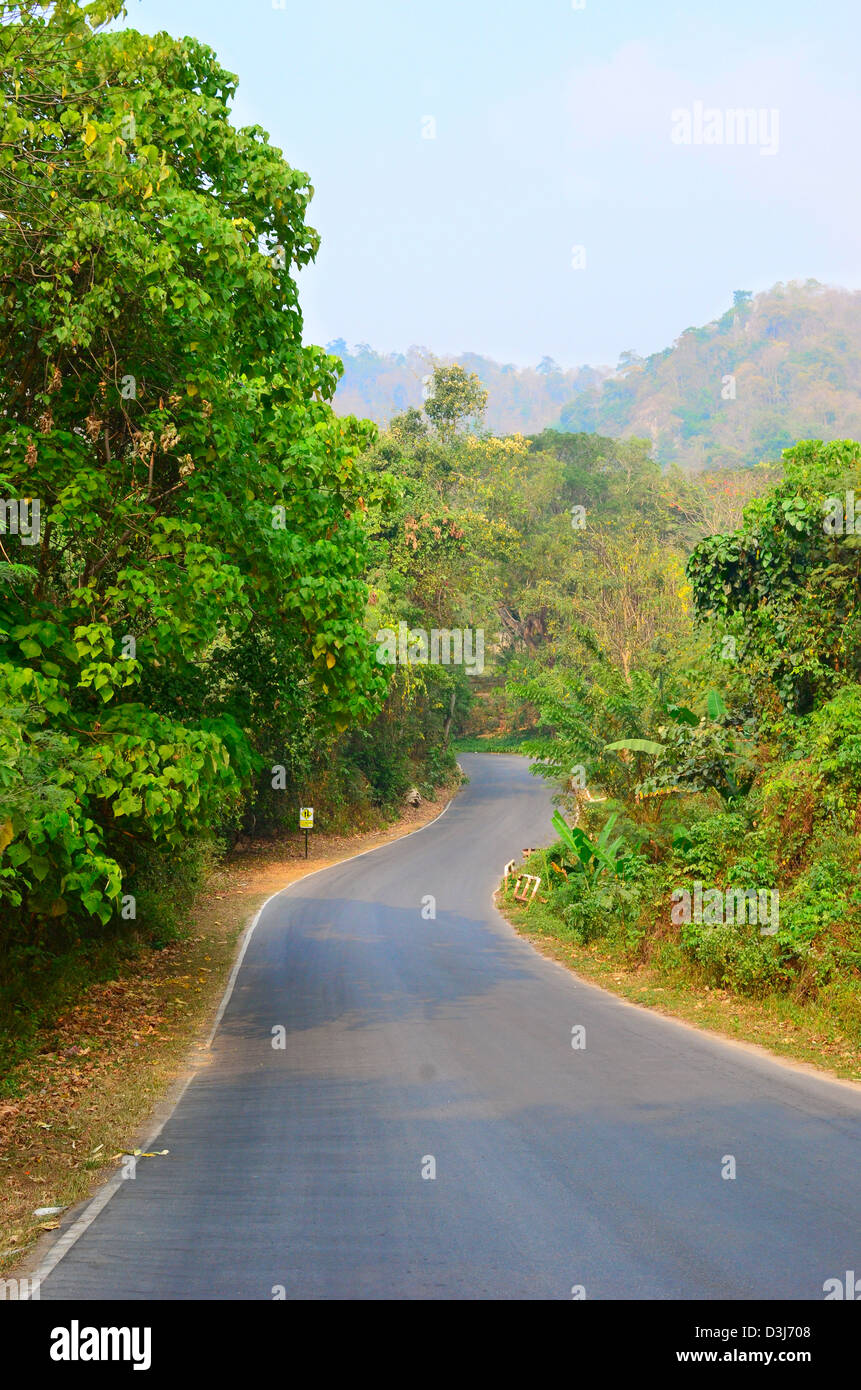 The asphalt jungle hi-res stock photography and images - Alamy