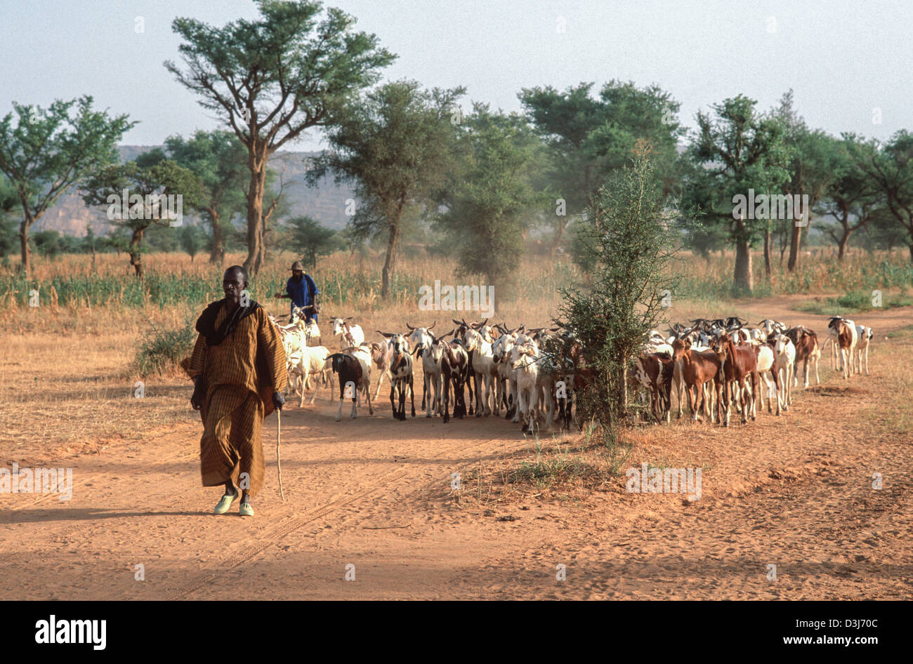Semi nomadic pastoralism hi-res stock photography and images - Alamy