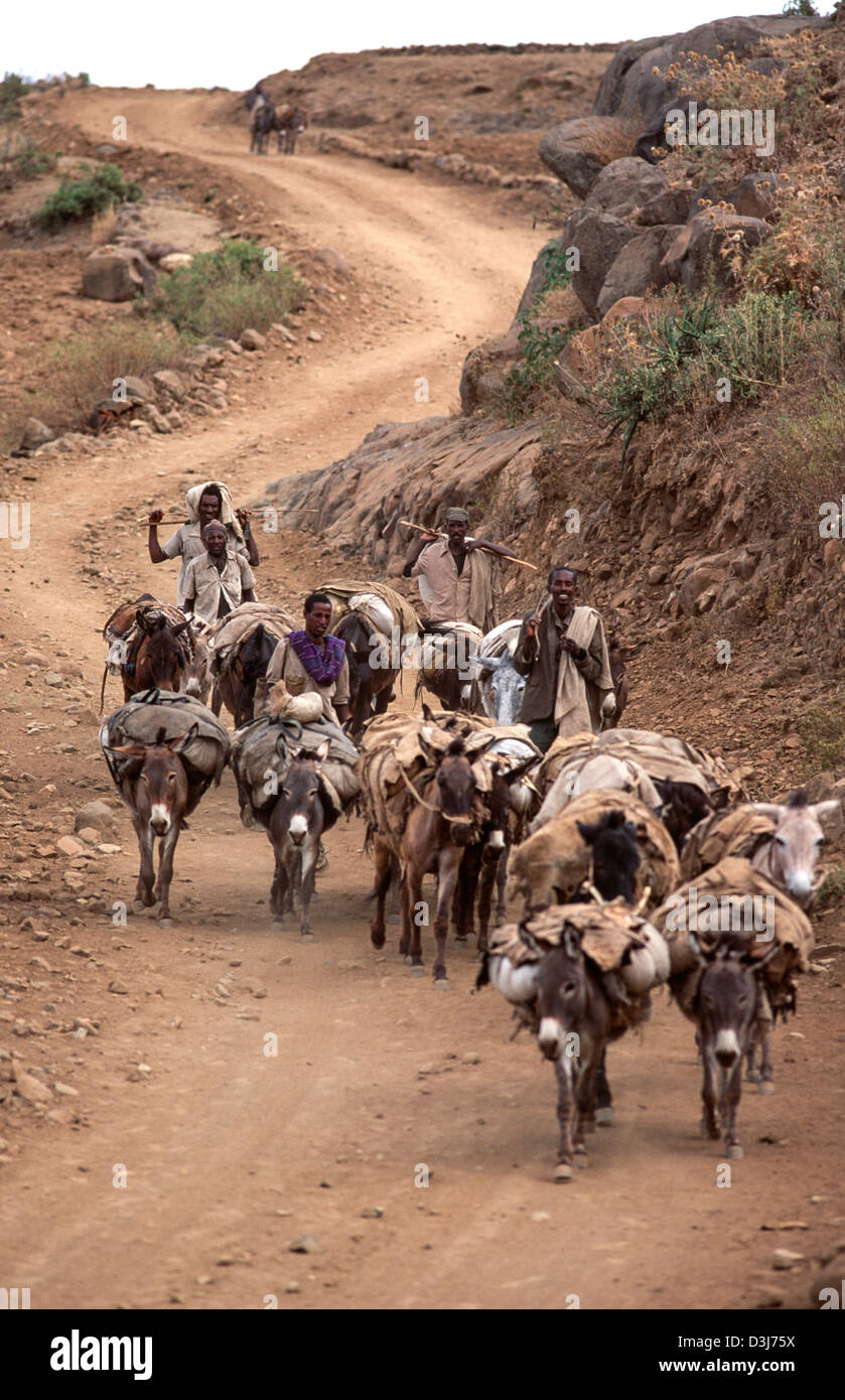 Donkeys loaded with goods hi-res stock photography and images - Alamy