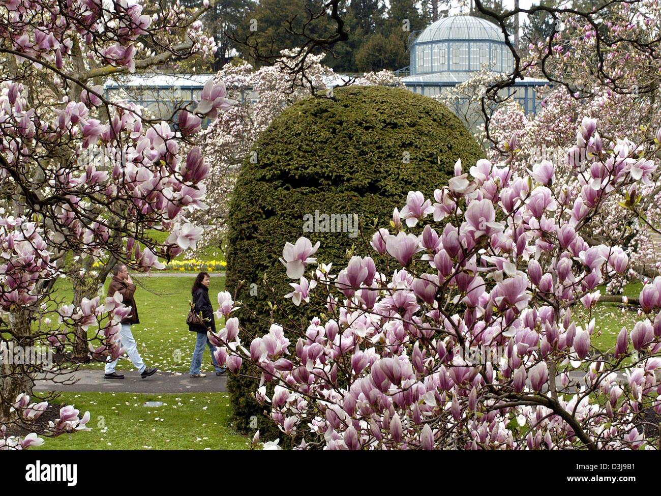 Stuttgart botanic elements hi-res stock photography and images - Alamy