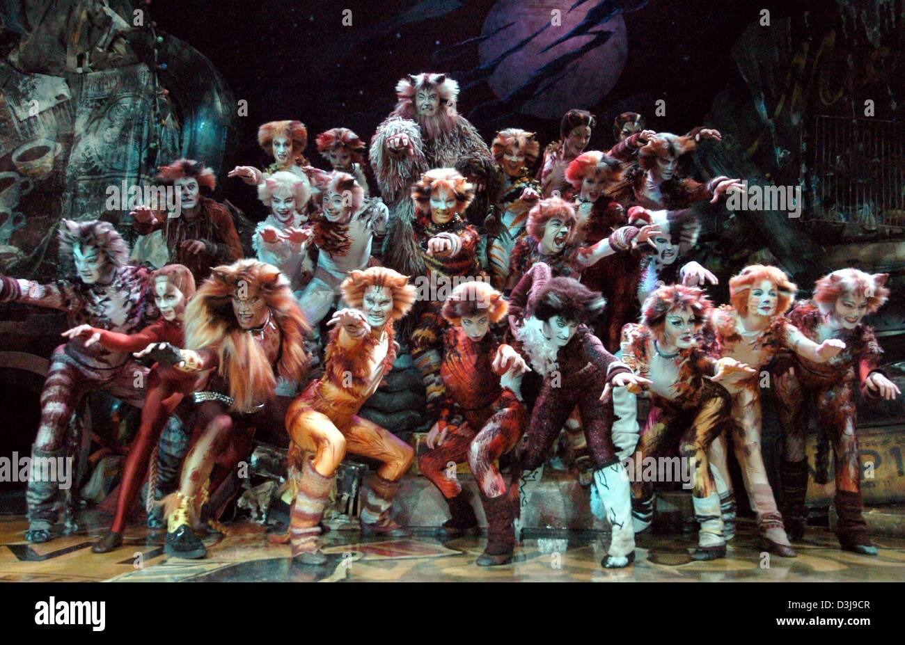 Cats musical hi-res stock photography and images - Alamy