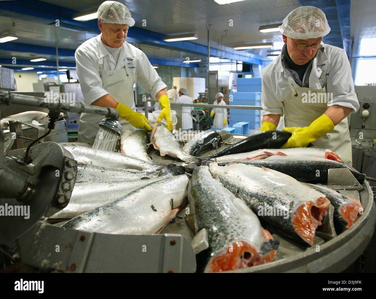 (dpa) - Two employees of 'Deutsche See', wear yellow gloves and ...