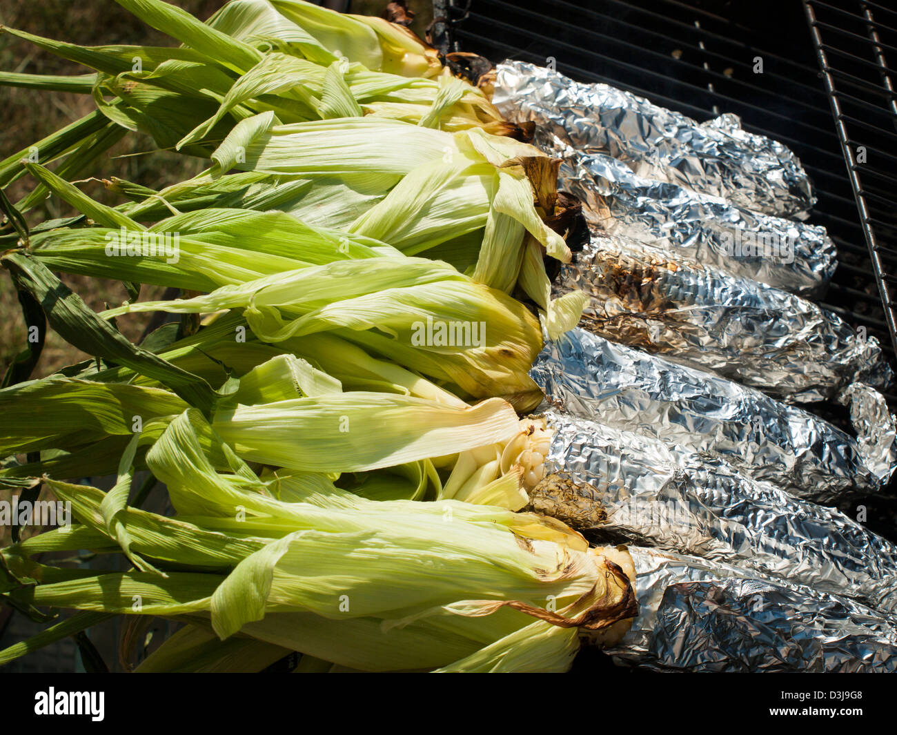Fresh corn on the grill Stock Photo - Alamy