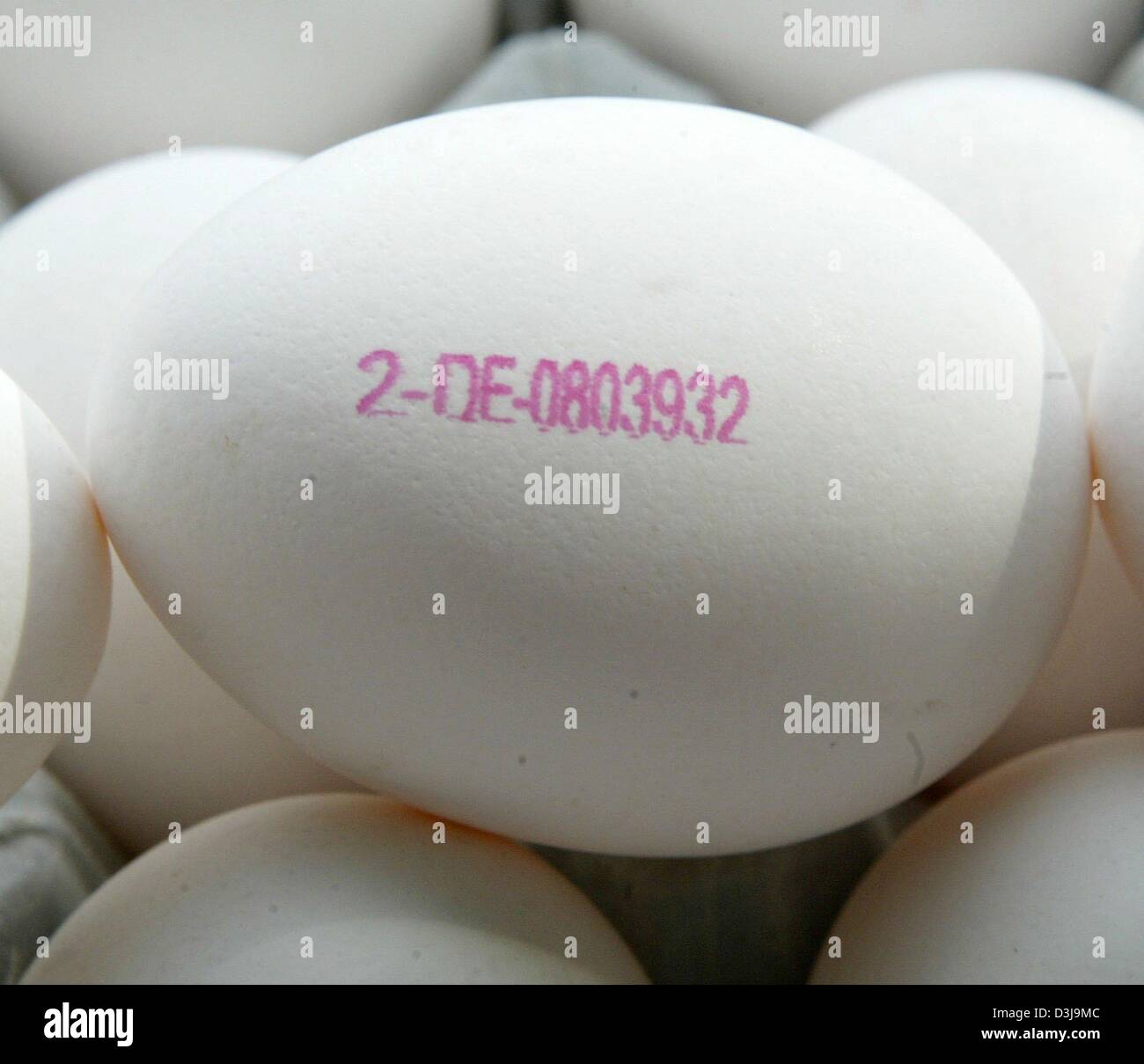 Poultry breeding eggs hi-res stock photography and images - Alamy