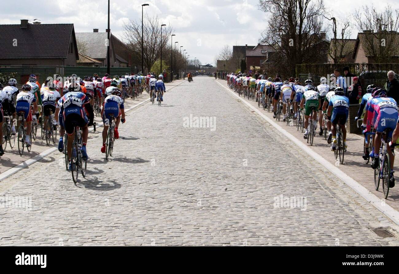 (dpa) - The field of Cyclists ride their bicycles on the left and right ...