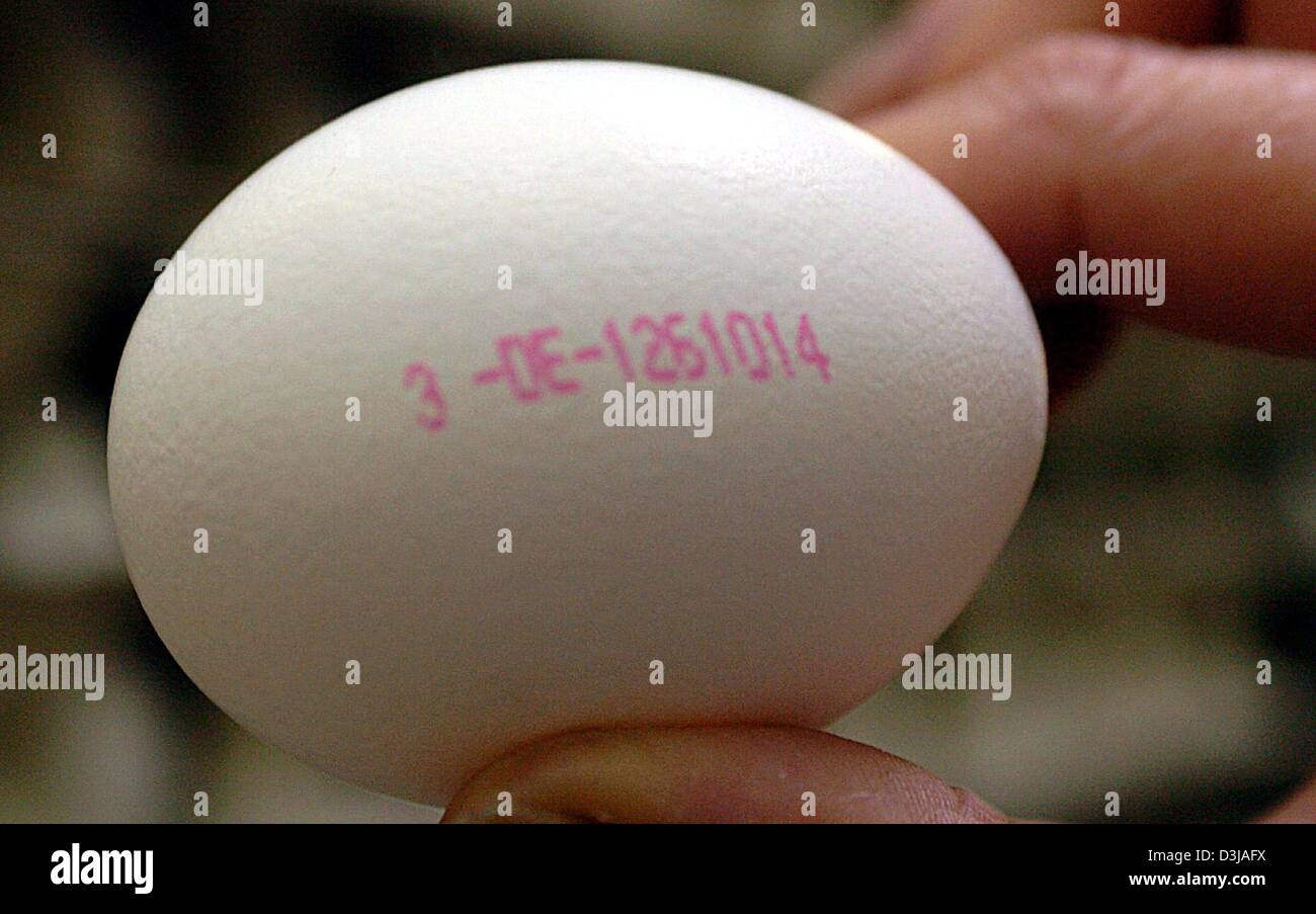 (dpa) - An egg displays the compulsory EU number code indicating the ...