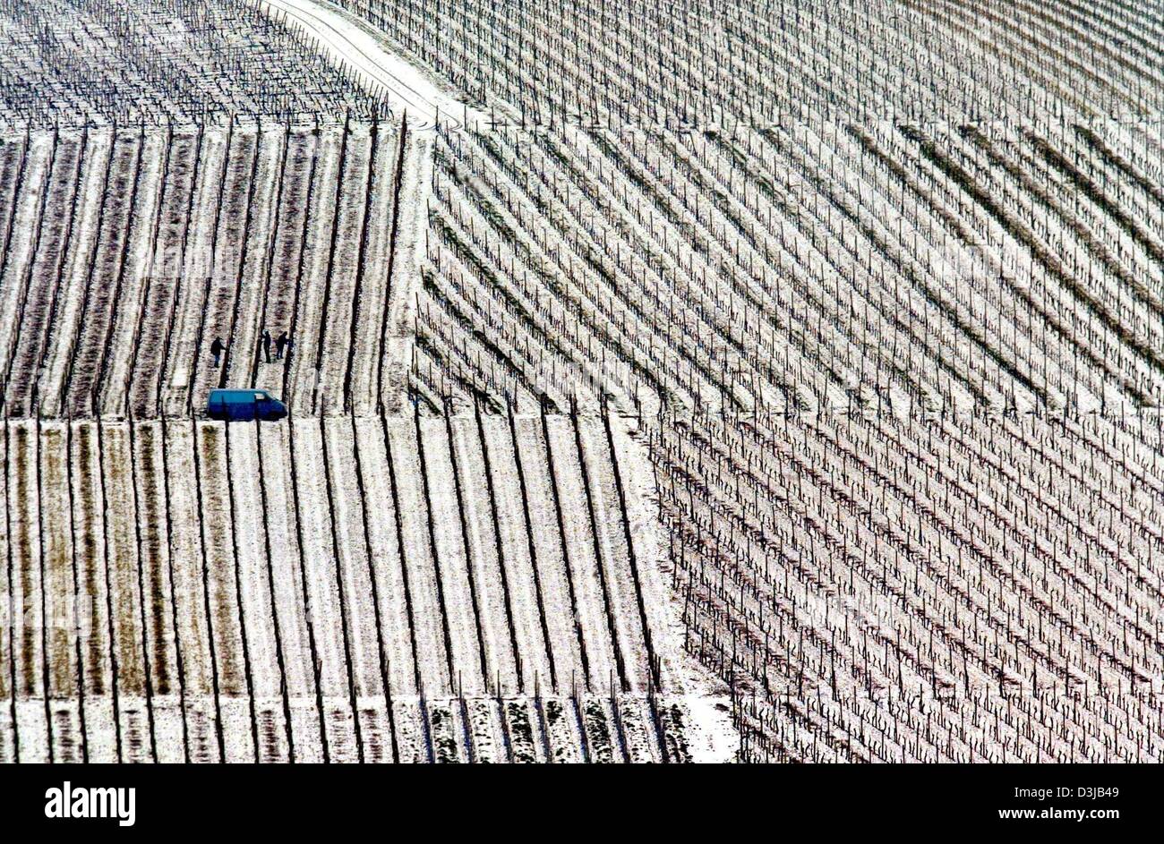 Vine forms hi-res stock photography and images - Alamy