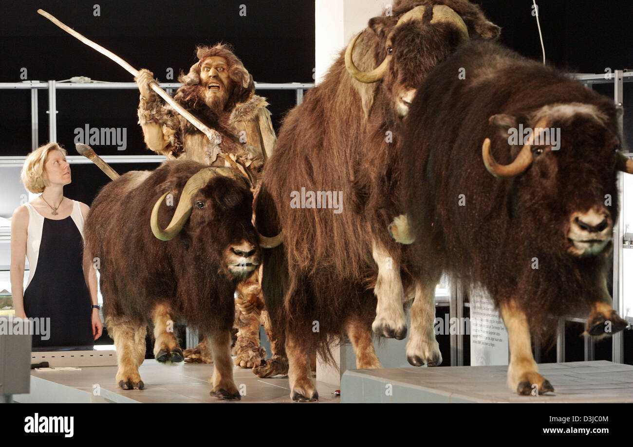 Neanderthals hi-res stock photography and images - Alamy