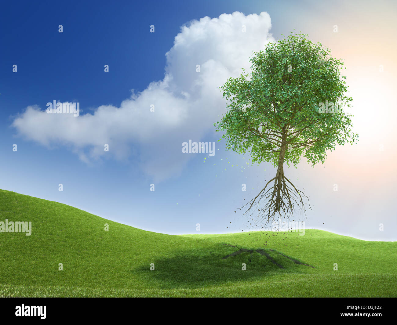 A tree flying away into the sky Stock Photo - Alamy