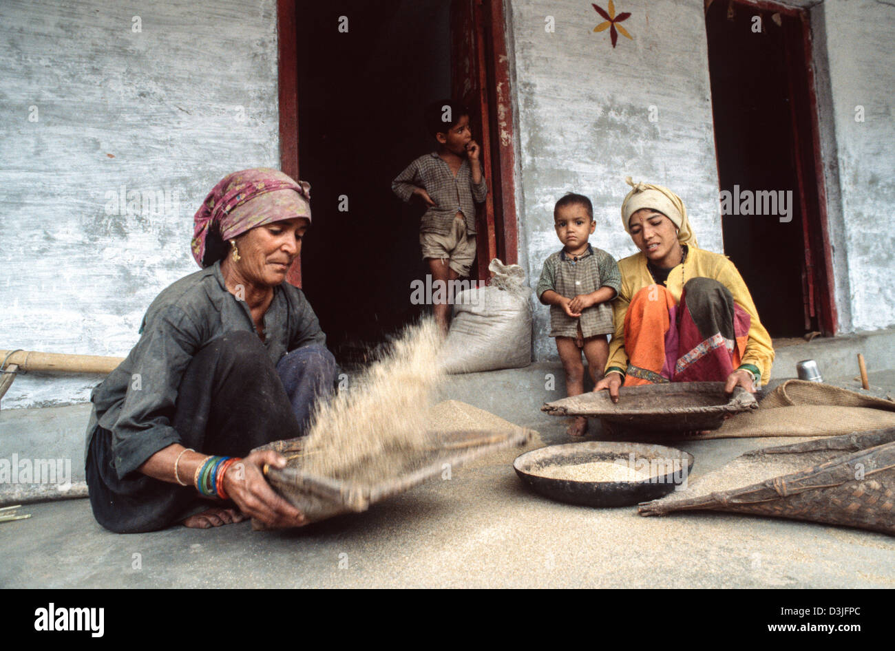 Winnowing grain.Tehri Garwhal, Uttarakhand. India Stock Photo - Alamy