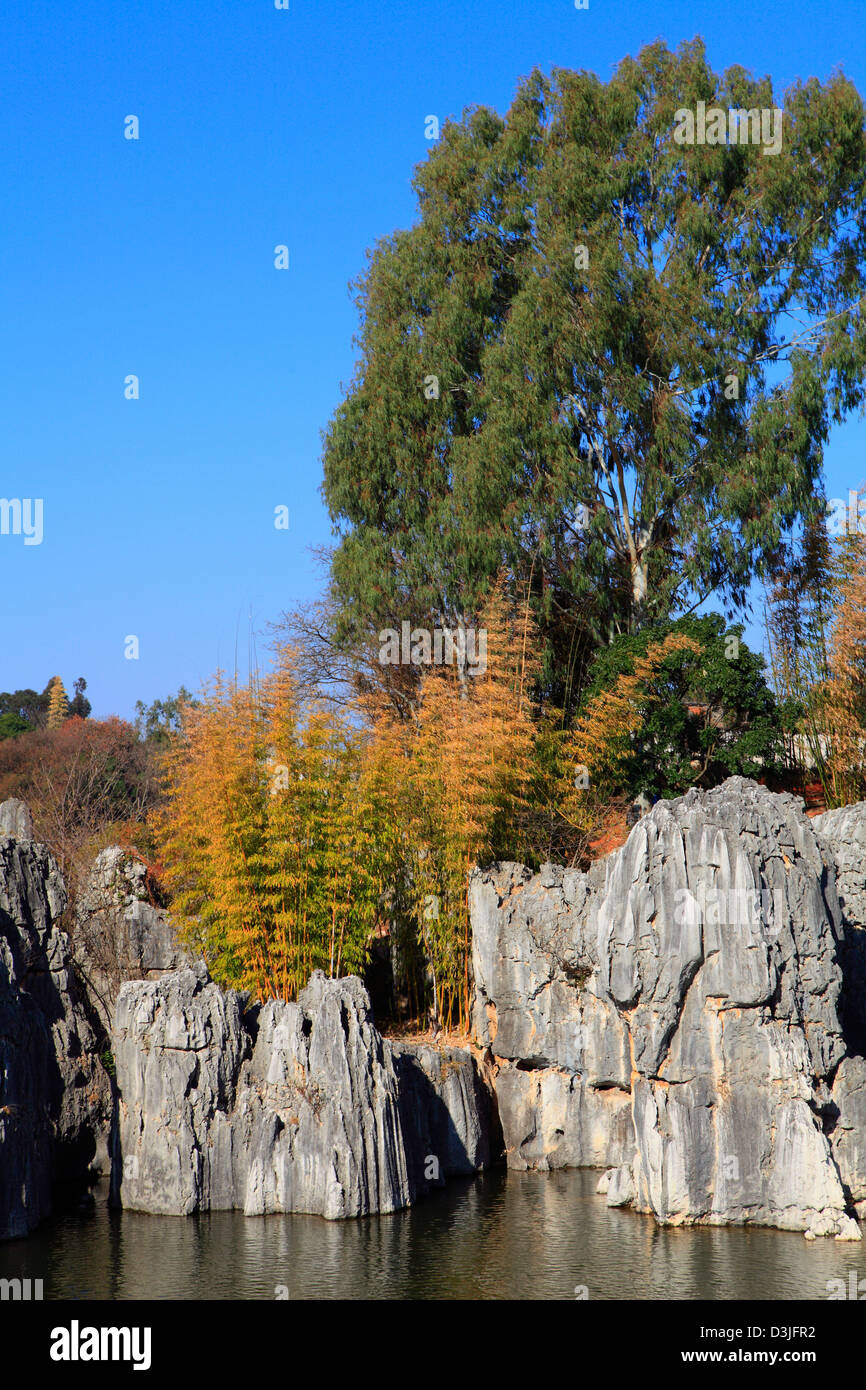 China, Yunnan, Shilin, Stone Forest Stock Photo - Alamy