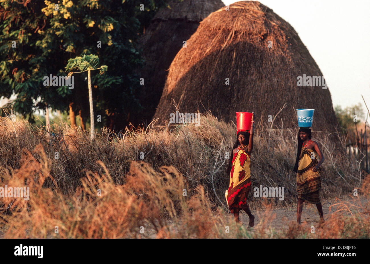 Women from the Orma tribe coming back from the well with water buckets ...
