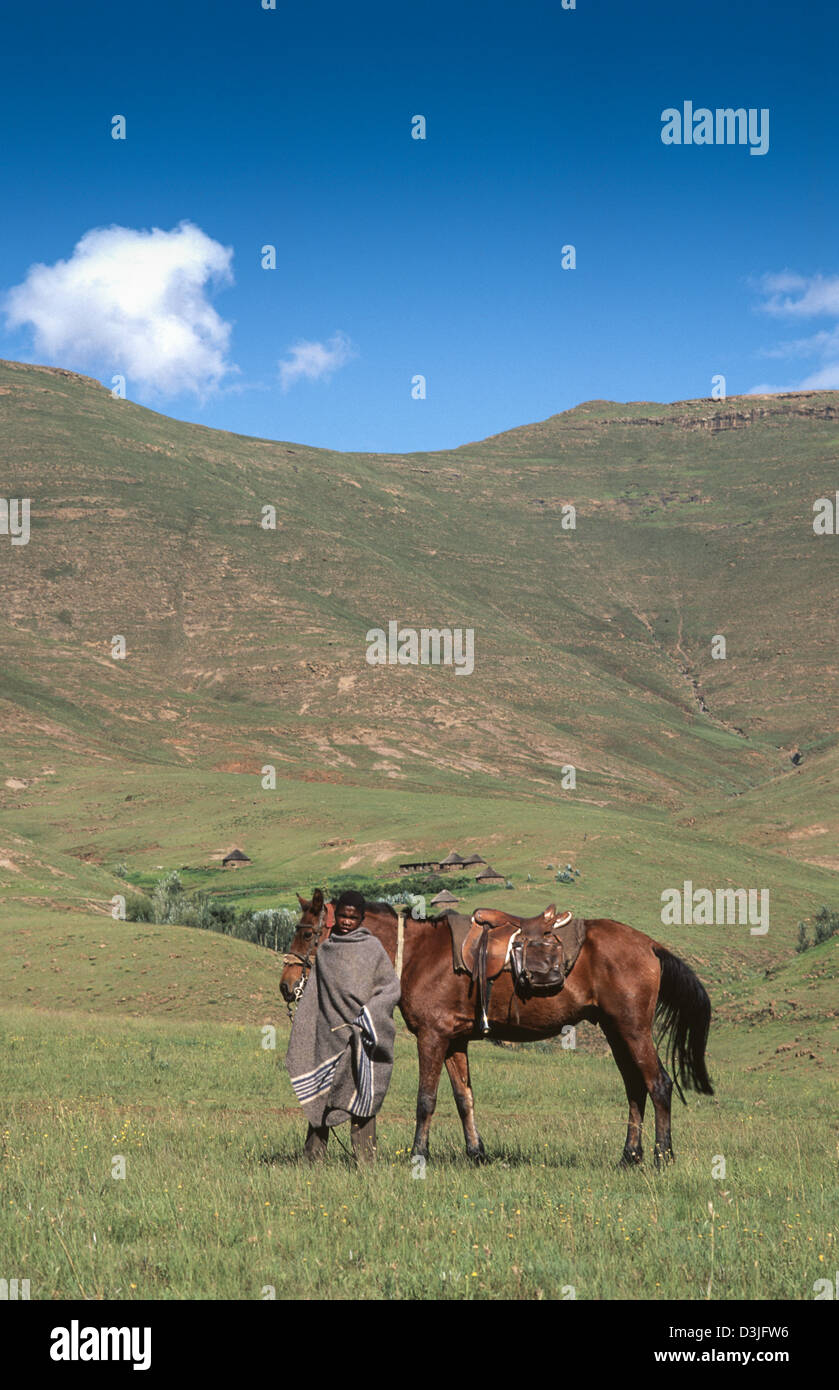 Basuto pony hi-res stock photography and images - Alamy