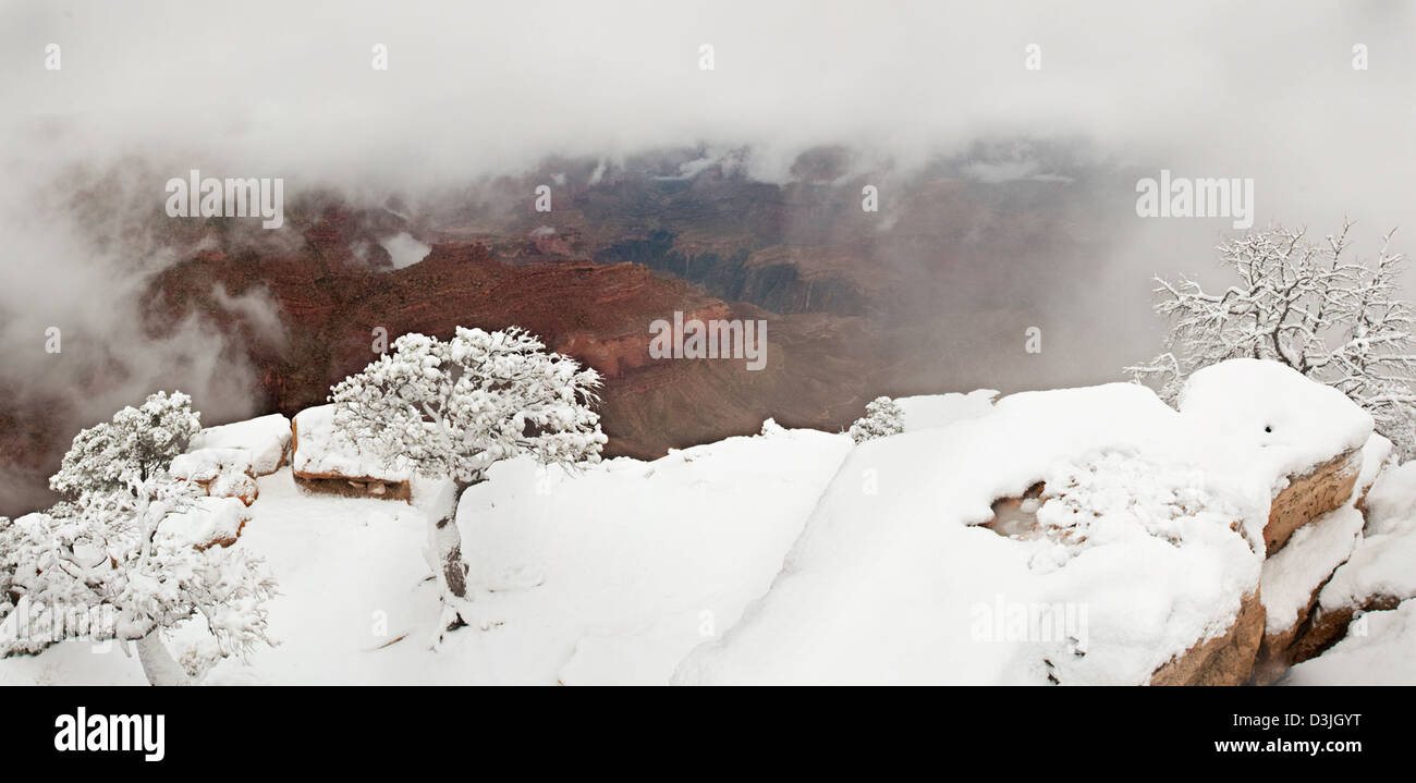 The first snowfall of December 2012 at Yavapai Point in Grand Canyon ...