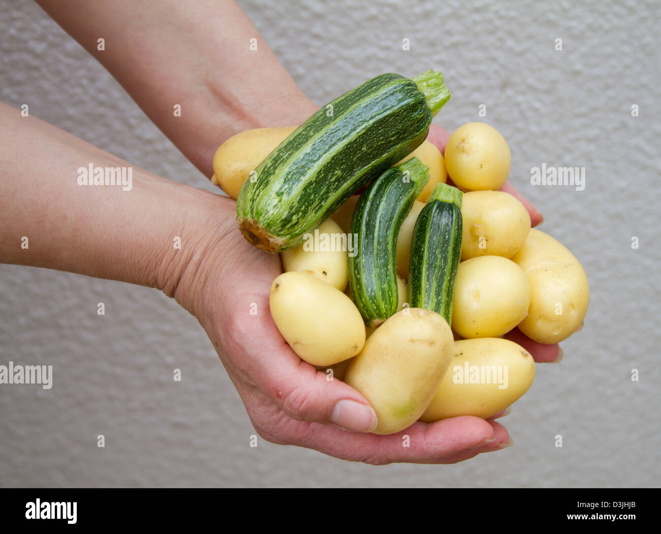 Fresh green baby courgettes hi-res stock photography and images - Alamy