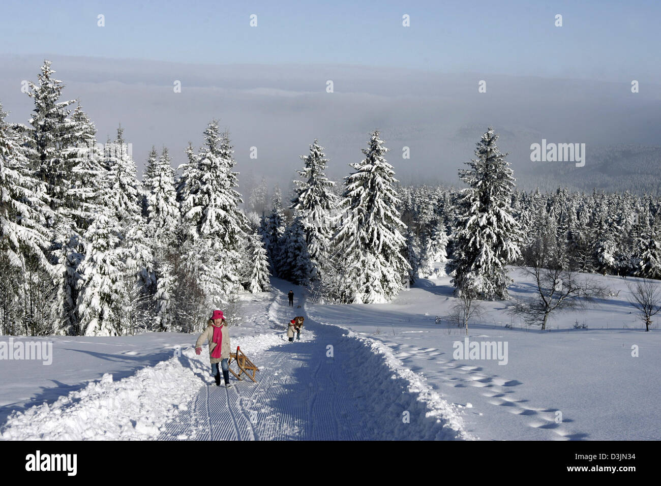 (dpa) - A family of four takes their sleds up the snowy Kahle Asten ...