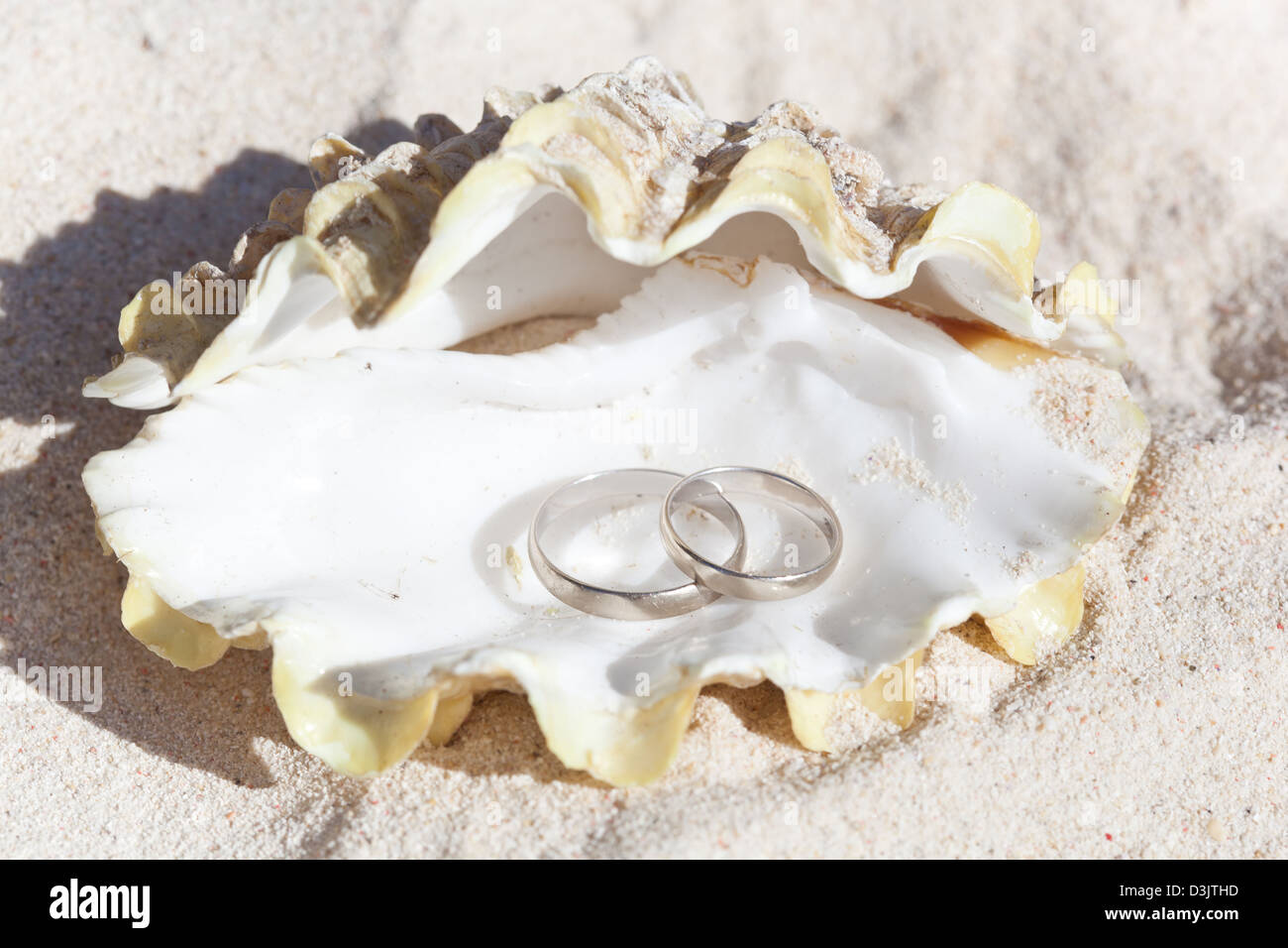 Seashell wedding rings on beach hi-res stock photography and images - Alamy