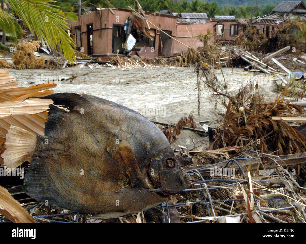 Scene near total destruction hi-res stock photography and images - Alamy