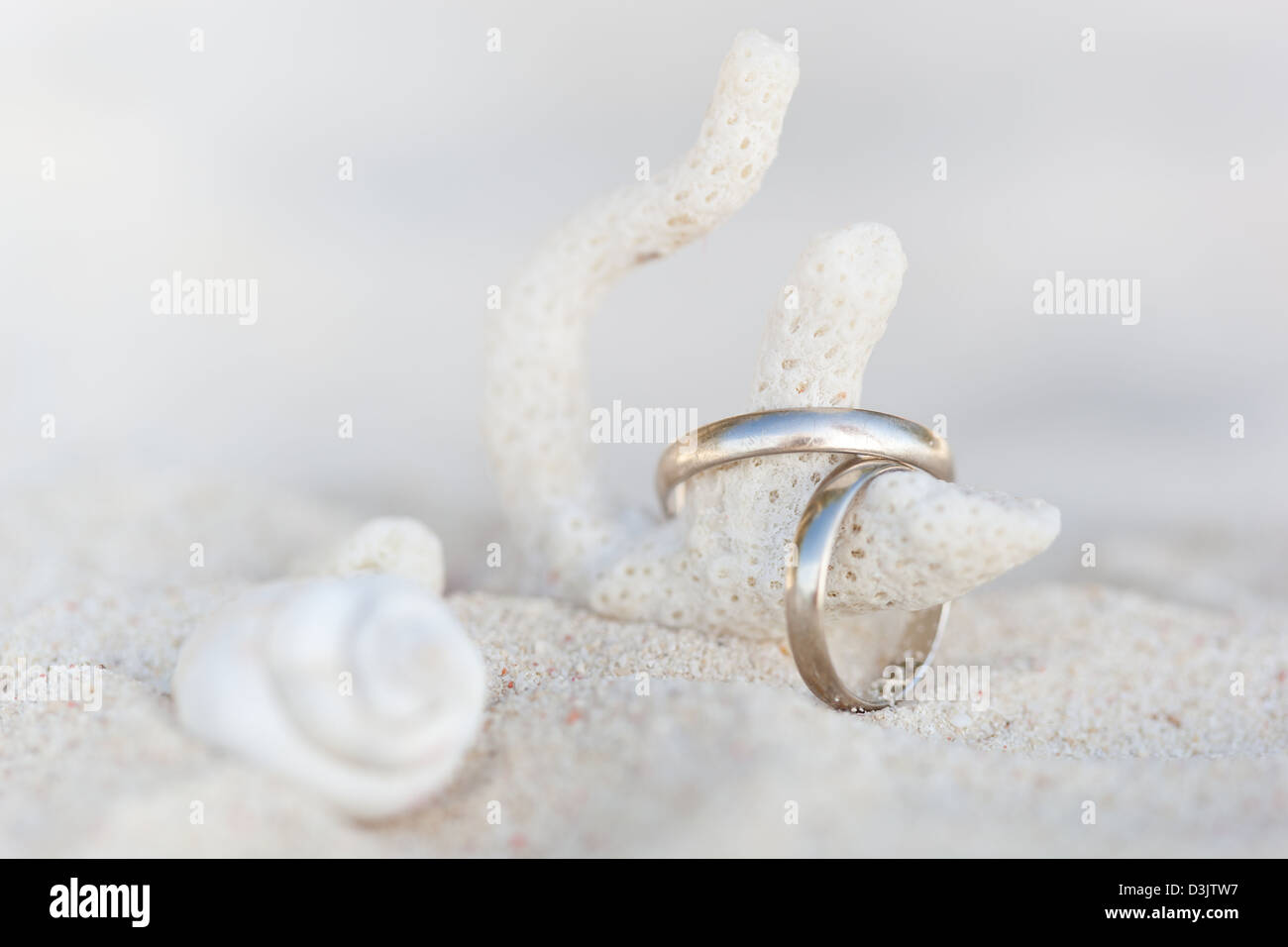 Celebration Valentine's day on beach, rings on shell Stock Photo - Alamy