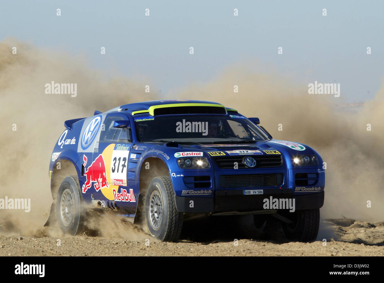 (dpa) - US rally driver Robby Gordon and his German co-driver Dirk von ...