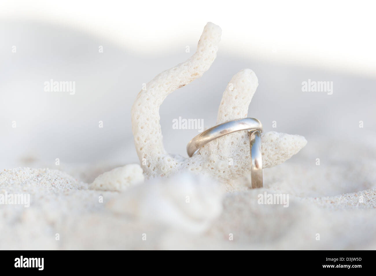 Seashell wedding rings on beach hi-res stock photography and images - Alamy