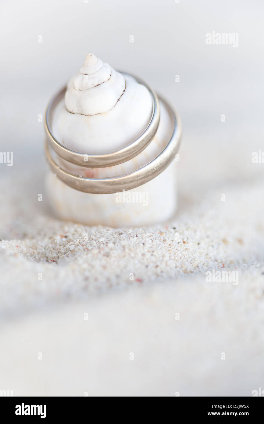Celebration Valentine's day on beach, rings on shell Stock Photo - Alamy