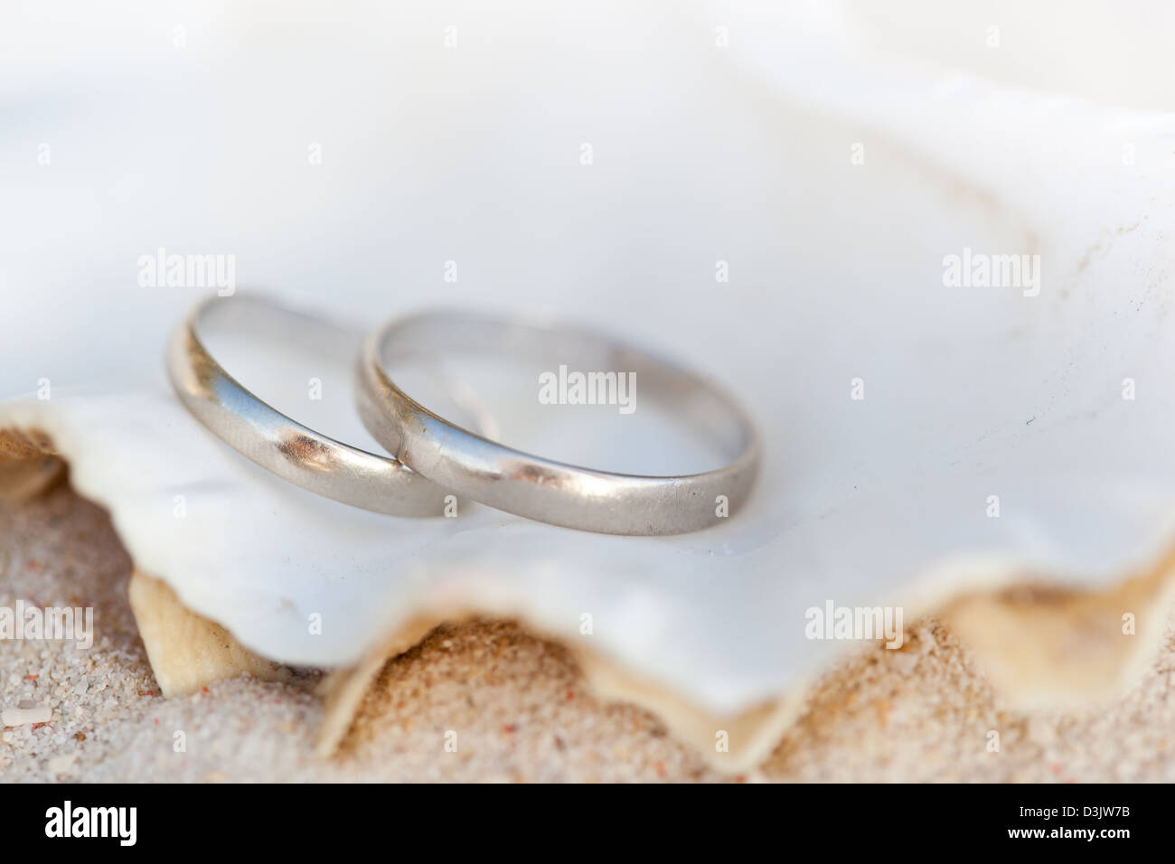 Seashell wedding rings on beach hi-res stock photography and images - Alamy