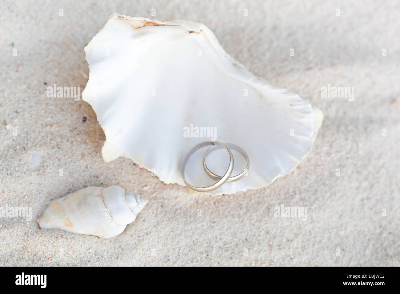 Celebration Valentine's day on beach, rings on shell Stock Photo - Alamy