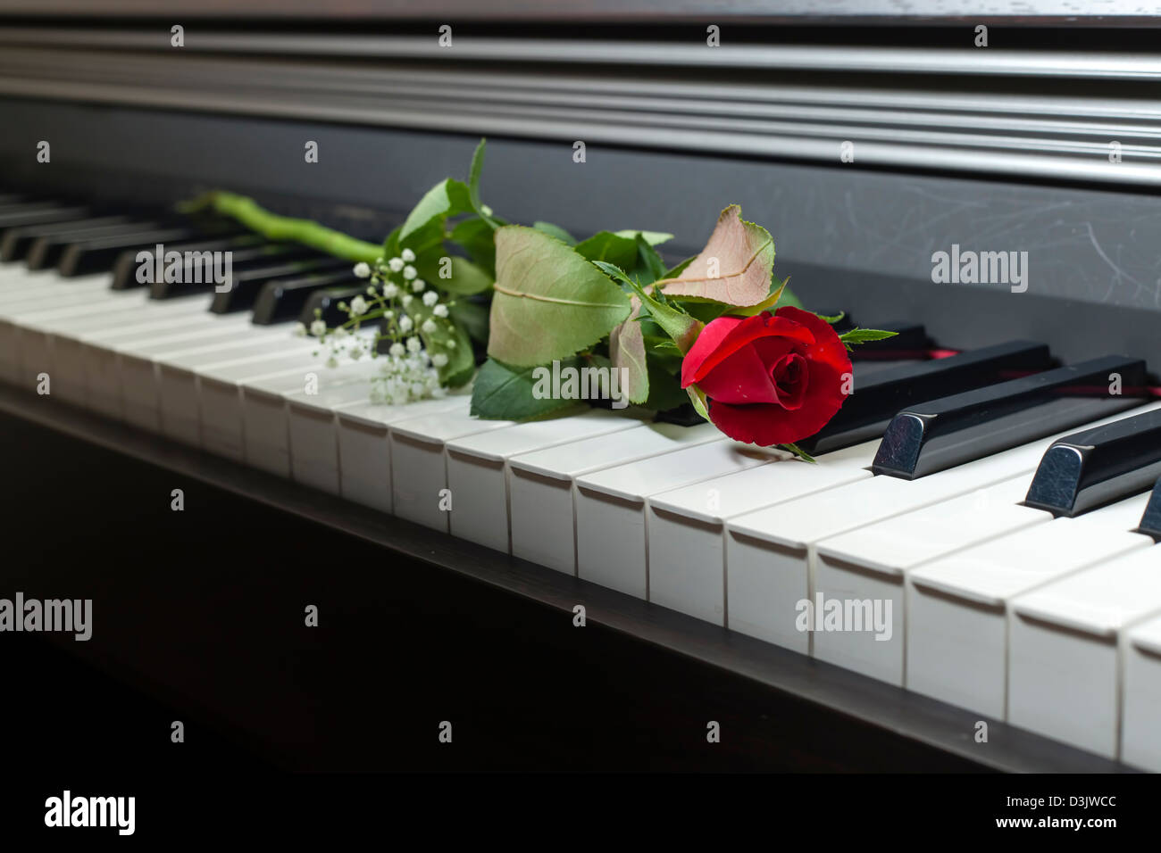 Rose keyboard hi-res stock photography and images - Alamy
