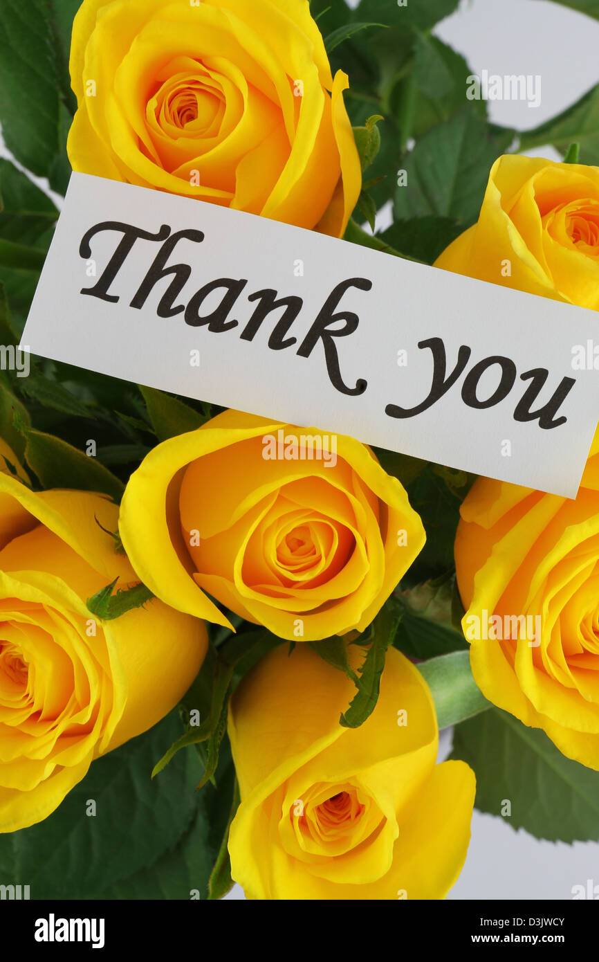 Thank You Images With Roses